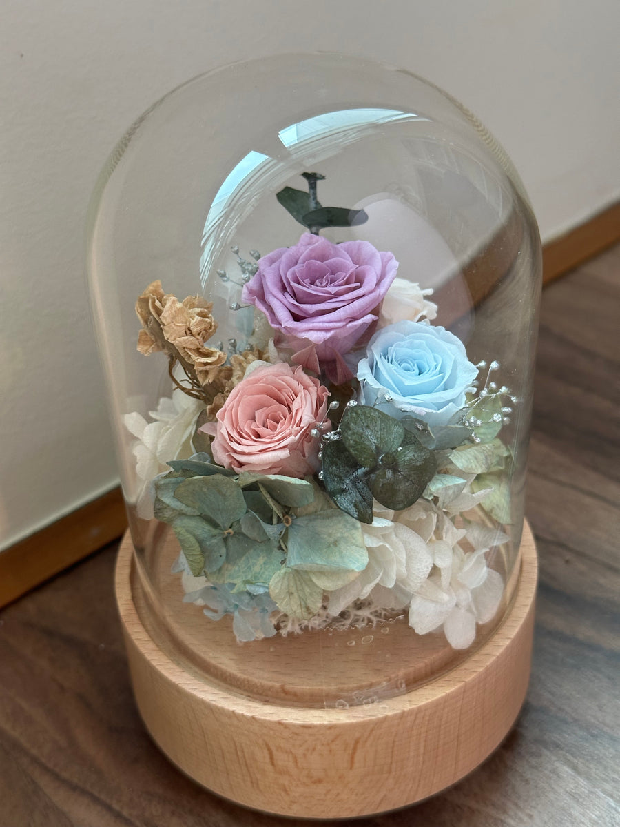 #9956 Beauty and the Beast revolving music flower dome (Usual price $1 ...